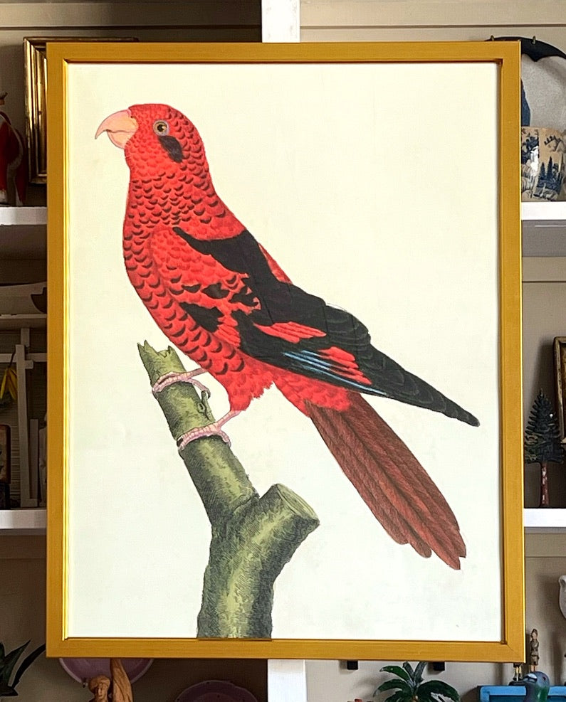 'Red Lories’ -per piece – marymaguireart